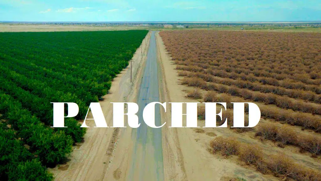 Всички поредици – Документални филми